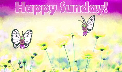 Happy Sunday Good Morning S Image With Quotes
