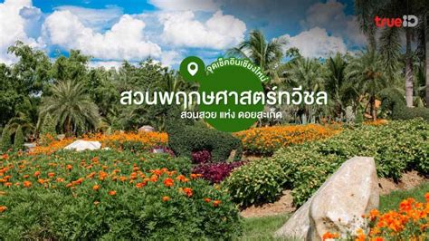 สวนพฤกษศาสตร์ทวีชล ที่เที่ยวเชียงใหม่ ไปแอ่ว สวนสวย พักผ่อนชิลๆ กัน