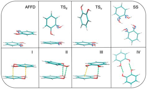 Noncovalent Interactions In The Catechol Dimer