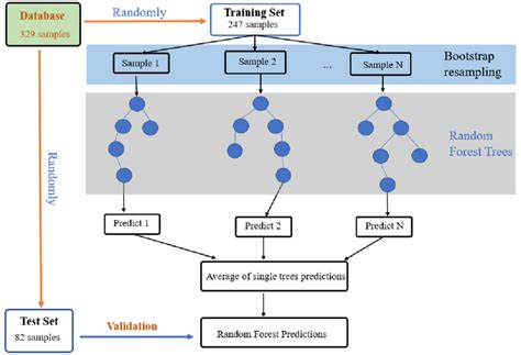 The Flow Chart Of The Random Forest Algorithm For The Prediction Of The