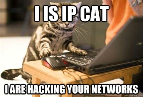 Angry Computer Cat Memes Quickmeme
