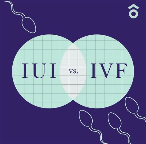 Whats The Difference Between Ivf And Iui How Do You Know Which To