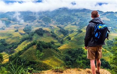 Sapa Rice Terrace Fields From July To August Vietnam Escape Tours