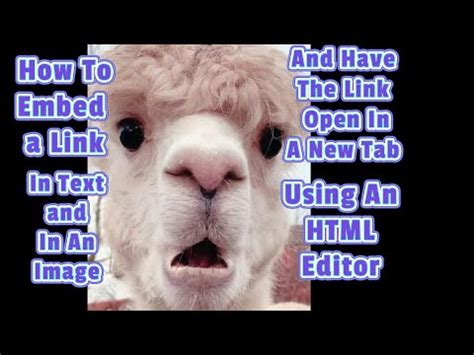 How To Embed A Link In Text Or An Image With An HTML Editor Also How To Have It Open In A New