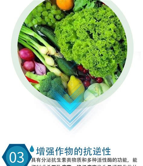 羊粪有机肥腐熟发酵技术不含杂质富含氮磷钾发酵羊粪纯羊粪有机肥 阿里巴巴