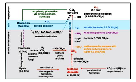 1 Processes Of The Global Methane Cycle With Permission 18 20 Download Scientific Diagram
