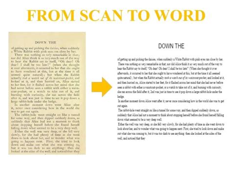 A Professional Manual Typing Copy Paste And Data Entry Upwork