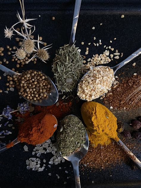 Baldecchi Україна Чому котики не люблять купатися 🐈 Всі господарі котиків знають як важко