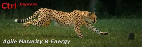 Allan S On Linkedin Is It Agile Scrum Devops Or Is It Safe