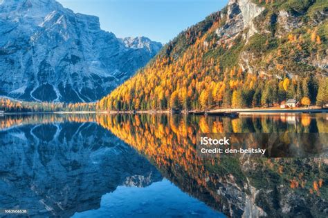 이탈리아 Dolomites에가 일출 Braies 호수 산 호수 교회 물 반사 아름 다운 풍경 화창한 아침에 숲을가 이탈리아 알프스에서 여행 돌로미티 가을에 대한 스톡 사진