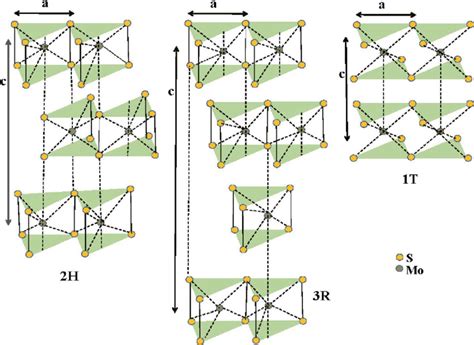 Structural Polytypes Of Mos 2 1t 2h And 3r Reproduced With Download Scientific Diagram