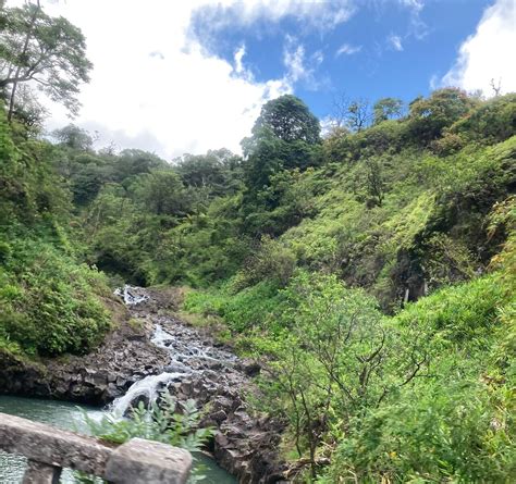 Deluxe Road To Hana Rainforest And Waterfall Experience From Maui