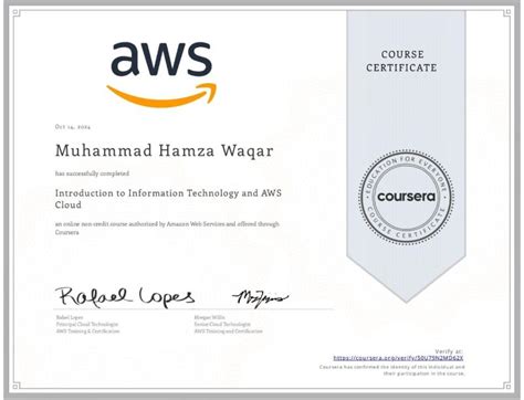 muhammad hamza waqar on linkedin introduction to information