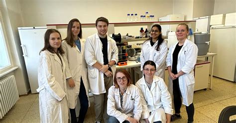 Brain Matrix For Slicing Par Daniel Éducation