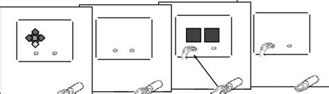 Spatial Delayed Response Task An Initial Instruction Picture Indicates Download Scientific
