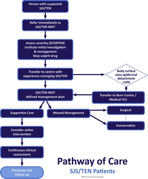 Uk Guidelines For The Management Of Stevensjohnson Syndrometoxic