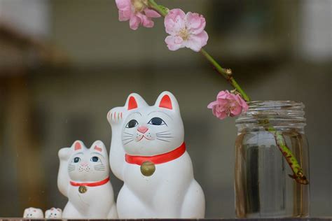 ねこと梅 GANREF