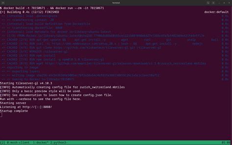 Nodejs Tileserver Gl Running Within Docker Container Run Error