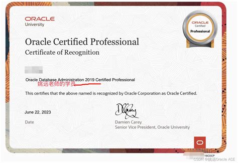 预约oracle Ocp认证考试的保姆式流程姚远oracle Opc Csdn博客 预约oracle Ocp认证考试的保姆式流程姚远oracle Opc Csdn博客