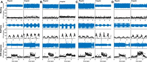 Examples Of Extracellular Neuronal Activity Of Canal Related In Normal