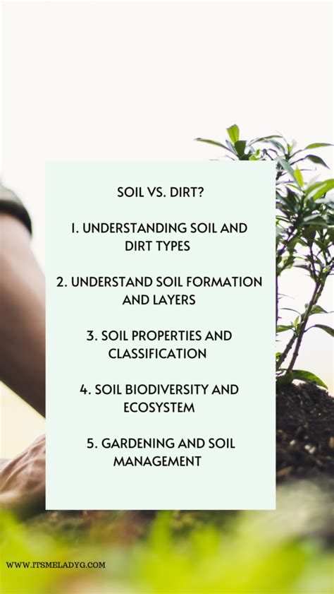 Soil Vs Dirt What S The Difference For Your Garden It S Me Lady G