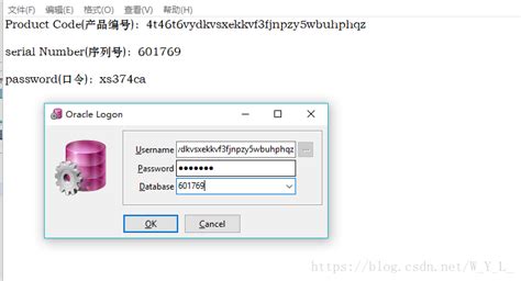 Plsql Developer的详细安装步骤 源码巴士 Plsql Developer的详细安装步骤 源码巴士