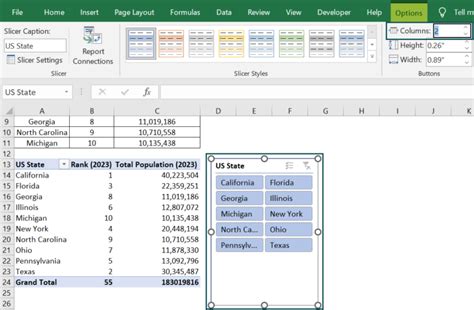 Pivot Table Slicer Top 2 Methods Examples How To Create