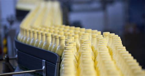 Composição E Tratamento De Efluentes Na Indústria De Laticínios Milkpoint