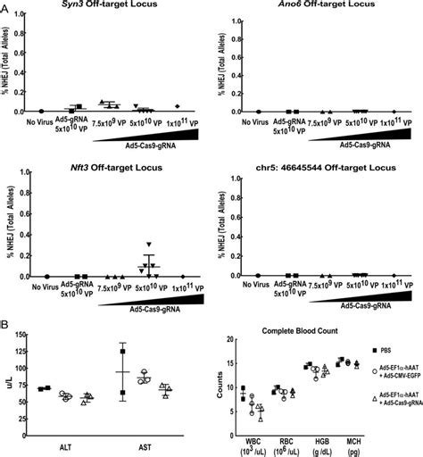 Off Target Analysis And Vector Toxicity Show Little Long Term
