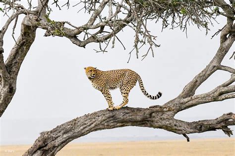 Karthik B Insearchpk