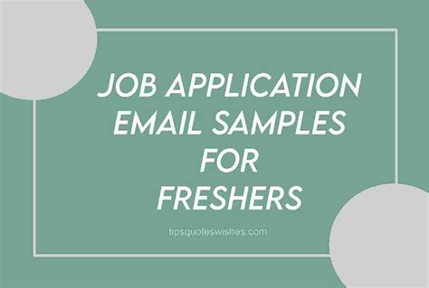 [2025] Simple Job Application Email Sample For Freshers Tipsquoteswishes