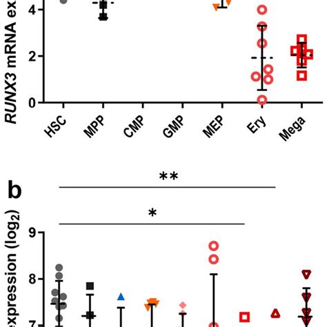 Runx3 Mrna Expression Levels Decrease During Normal Human Download