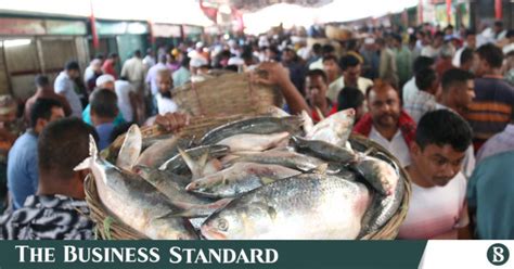 Large Quantity Of Hilsa Netted After 22 Day Ban The Business Standard