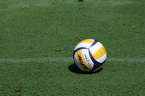 3 무료 배구공 And 축구공 이미지