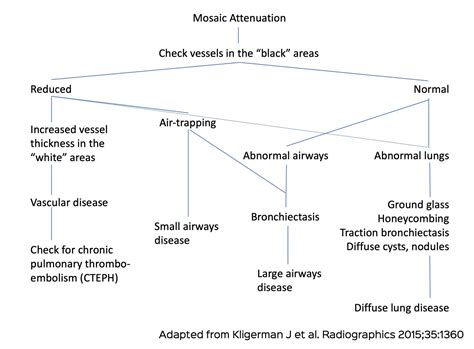 Snippet Mosaic Attenuation