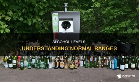 Alcohol Levels Understanding Normal Ranges Cyalcohol