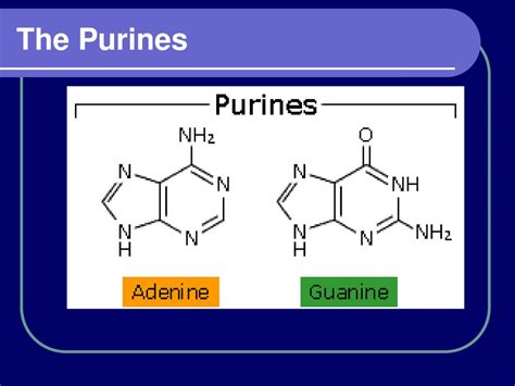 Structure And Function Ppt Download