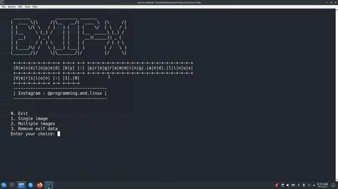 Github Programming And Linuxexif X Extract Exif Data From The Image