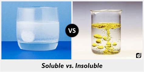 Solubility Rules Diagram Quizlet