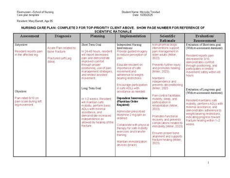 Nurs 101 Nursing Care Plan For Fractured Left Leg Micnoila Trinidad