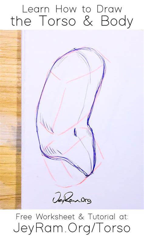 How To Draw The Torso Step By Step Tutorial Free Practice Worksheet Printable JeyRam