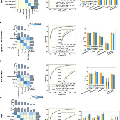 Classification Performance Of Adenocarcinoma Network Squamous Cell Download Scientific Diagram