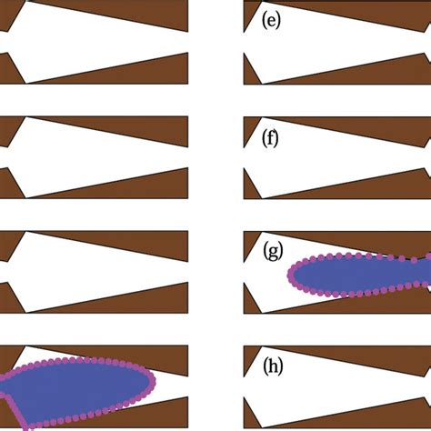 Typical Snapshots Of The Transport Process Of Deformable Particle For Download Scientific