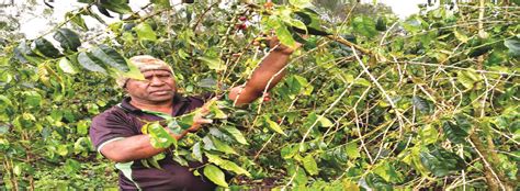 Govt To Set Up Labour Mobility Program Post Courier