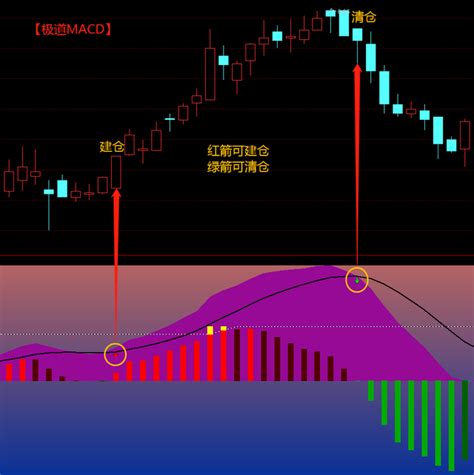 极少人知道的macd指标，已编辑成简单易学版本 知乎