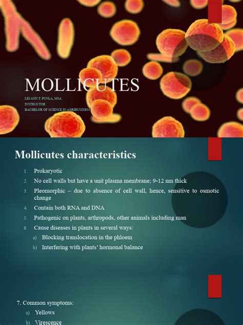 Mollicutes Pdf Organisms Plants