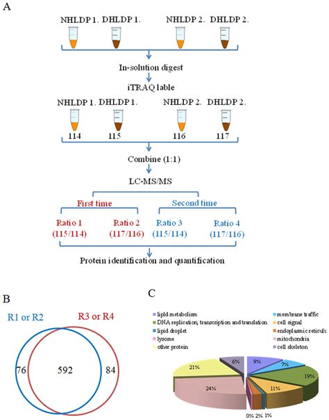Proteome Analysis Of Isolated Heart Ld A Flowchart Showed The