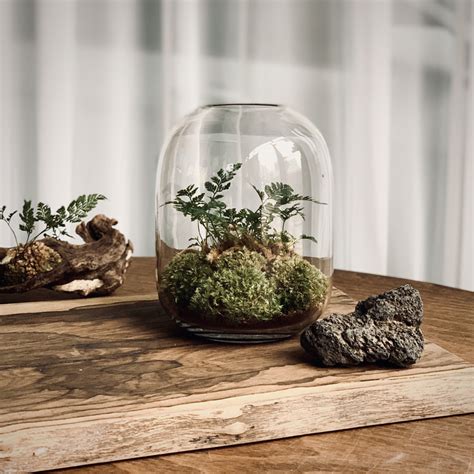 로우핸드 프로도 테라리움 키트 이끼테라리움 만들기 Diy 비바리움 위시버킷