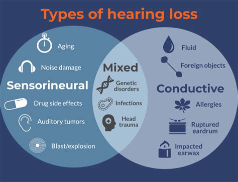 Hearing Loss Types Sensorineural Conductive And Mixed