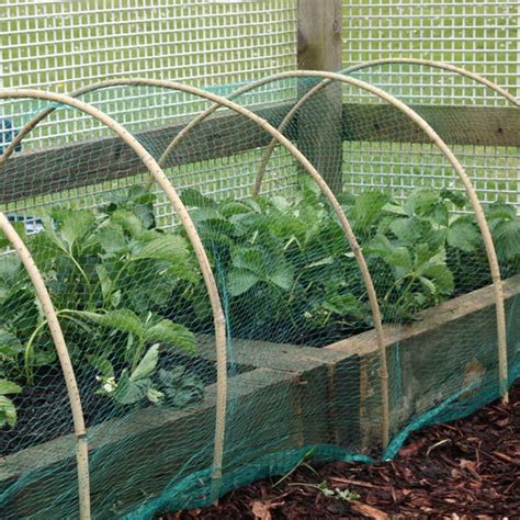 Protect Plants And Fruits With Our Quality Garden Netting